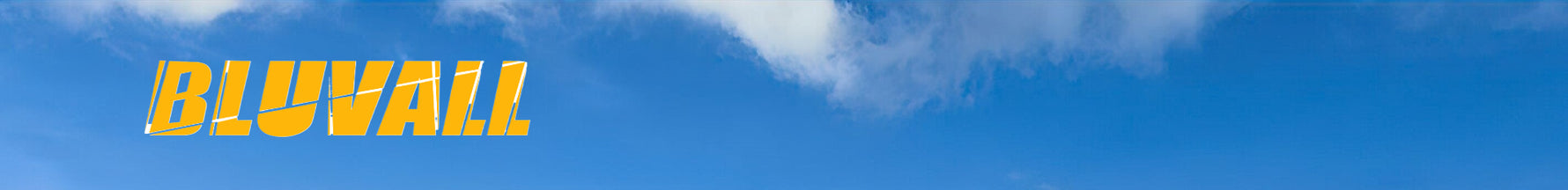 Bluvall Ebikes – BluVall Ebikes