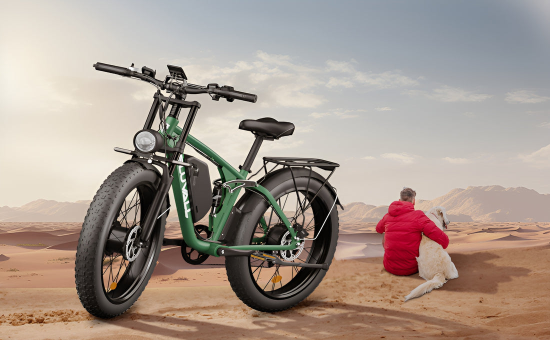 Bluvall V1 2000W Dual Motor ebike 80miles 35mph 165nm