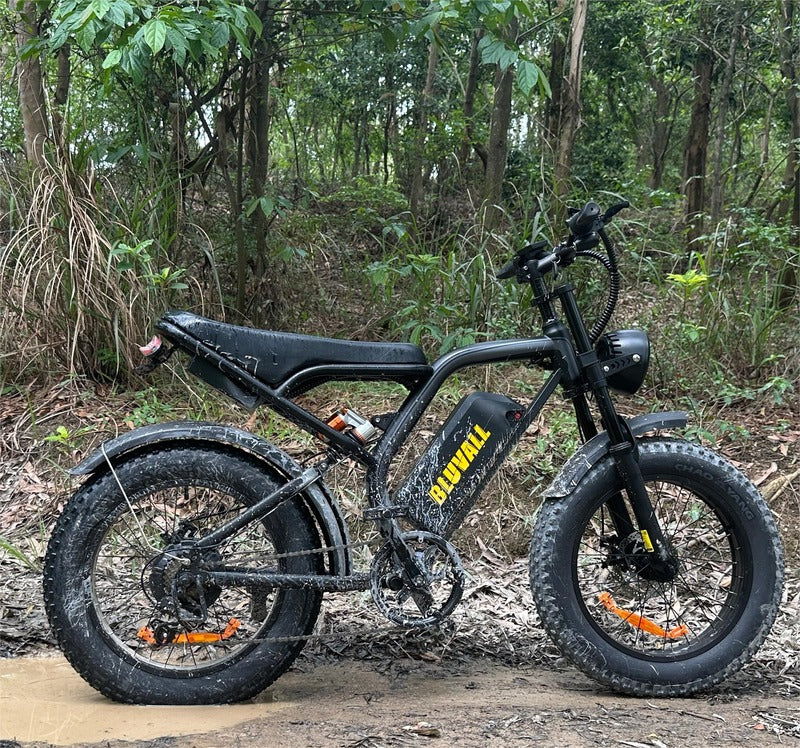 Bluvall Ebikes – BluVall Ebikes