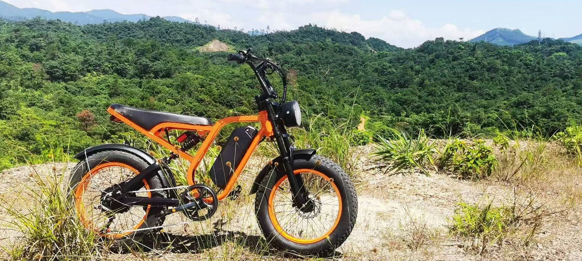 Bluvall Ebikes
